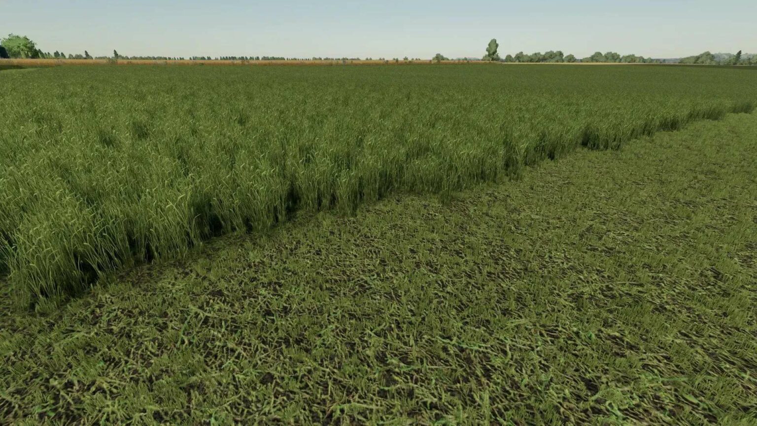 Grass Texture v1.0 FS22 | Farming Simulator 22 Mods